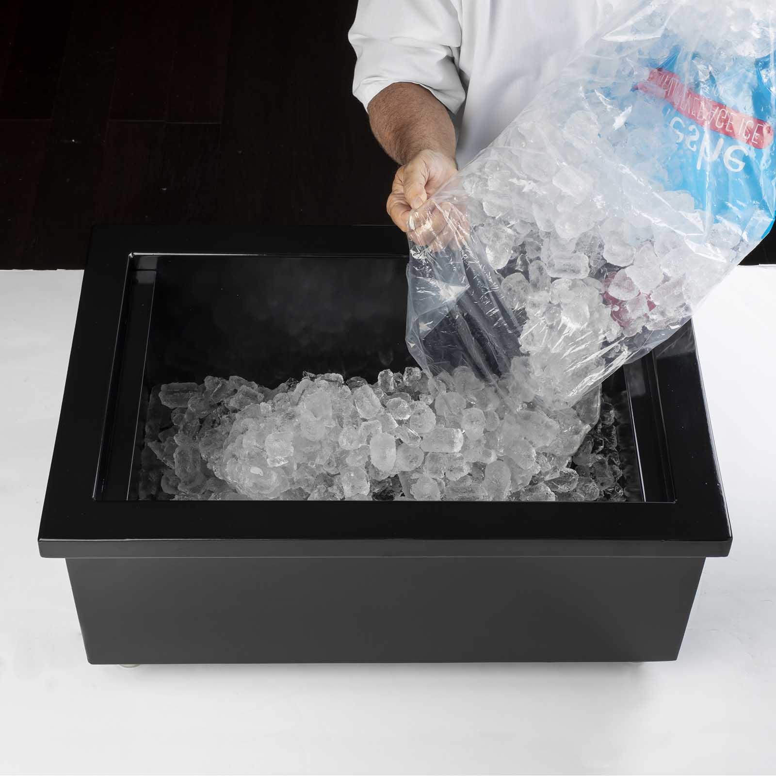 Single Portable Insulated Ice Well, Translucent Black Brushed