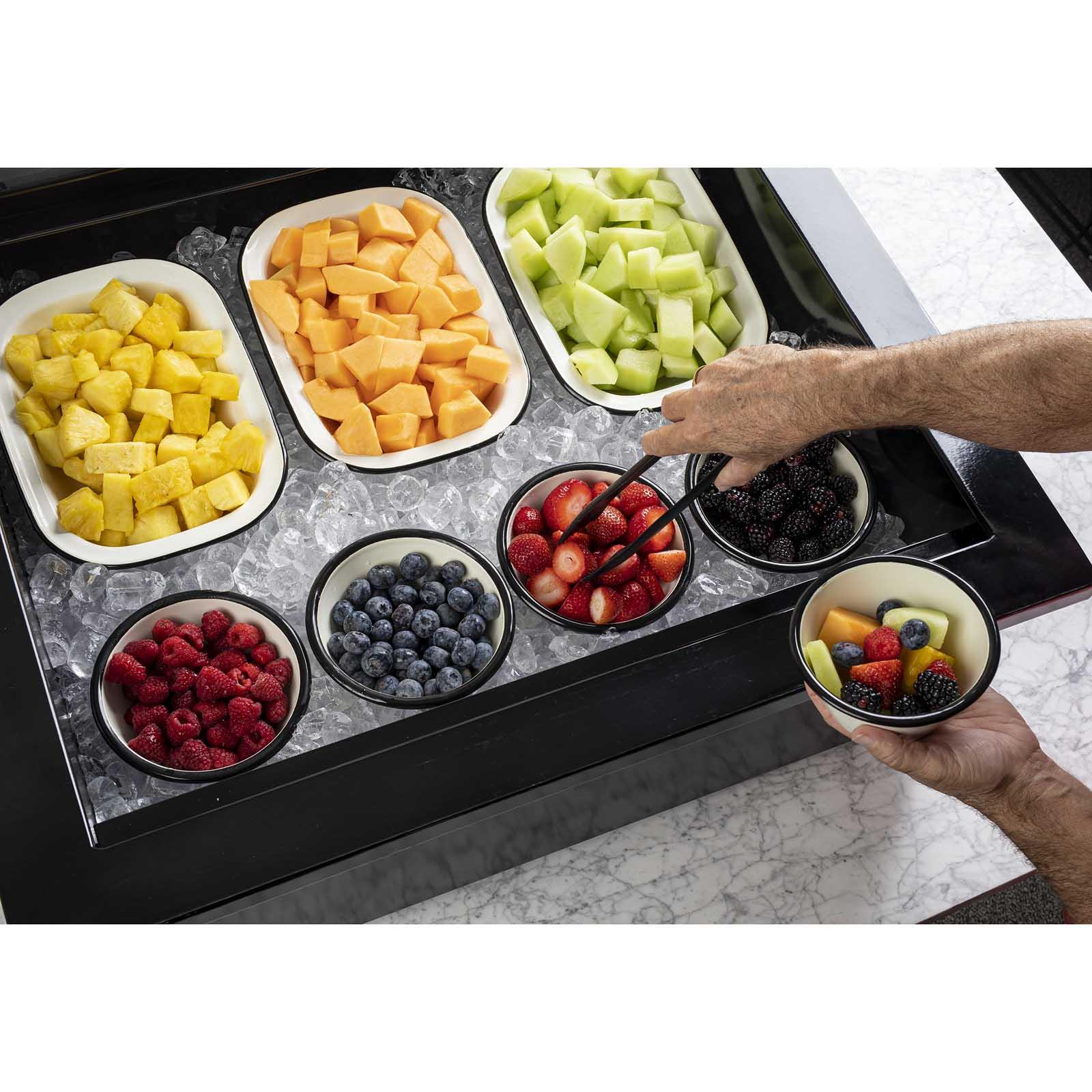 Double Portable Insulated Ice Well, Translucent Black Brushed